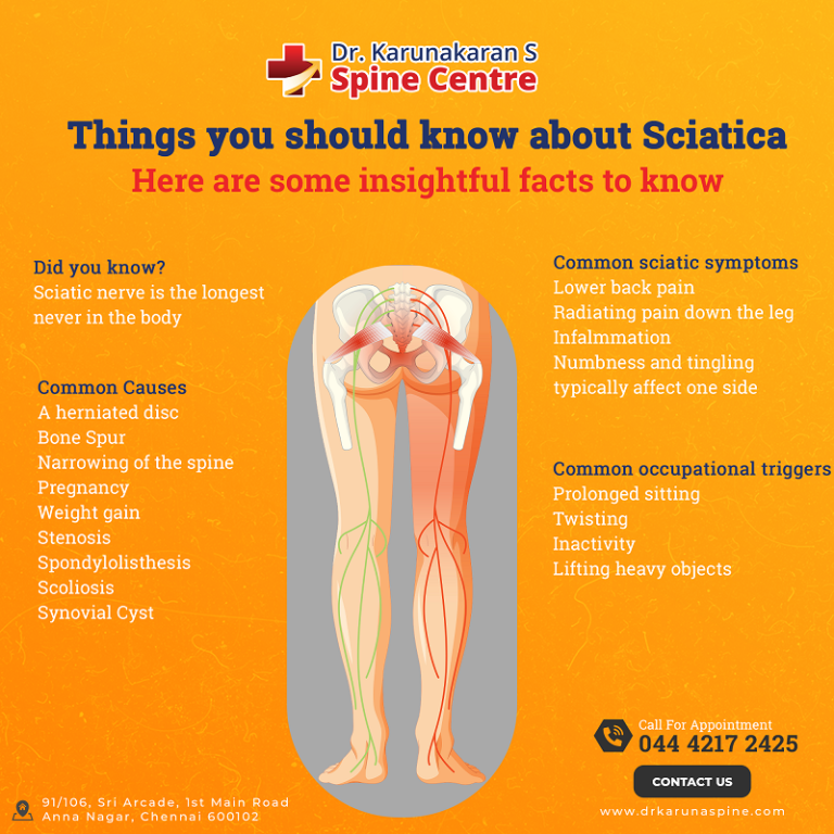 What is Sciatica – Best Spine Specialist In Chennai | Dr Karunakaran Spine Centre